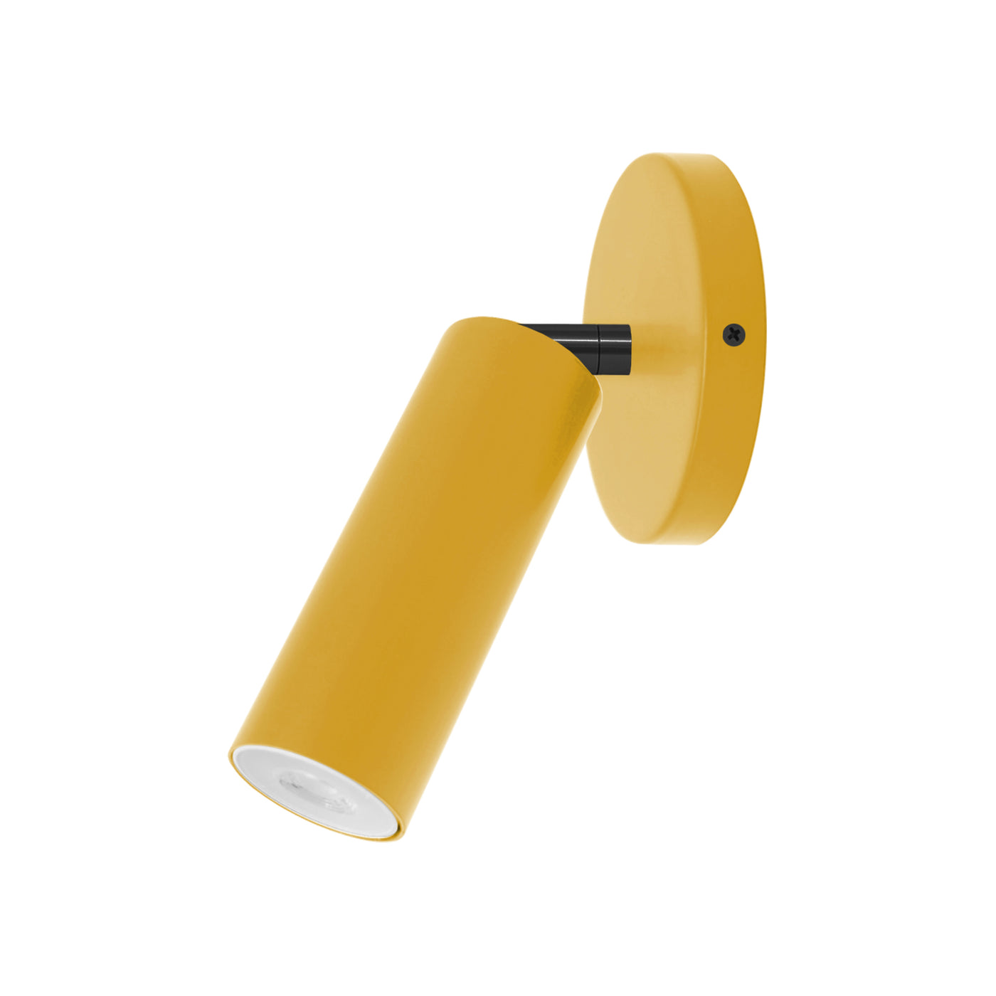 Color Reader Adjustable Wall Sconce